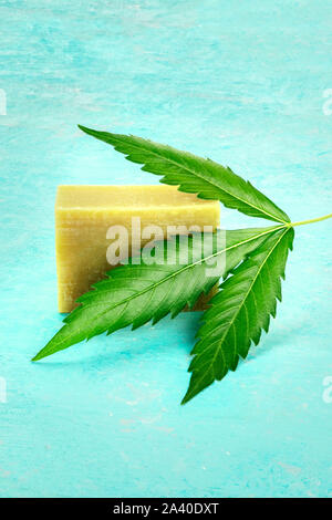 Homemade hemp soap bar with a cannabis leaf on a teal blue backgrround ...