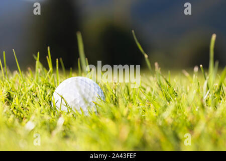 Macro of a golf ball in natural grass of golf course Stock Photo - Alamy