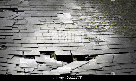 Abandoned old house covered with moss Stock Photo - Alamy