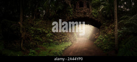 Old stone bridge in the jungle Stock Photo - Alamy