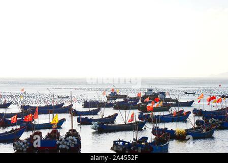 Fishing boats float around Goqi Island, the center of China's largest ...