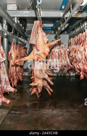 Fresh hanging meat carcass on a stylish butcher shop window and its ...