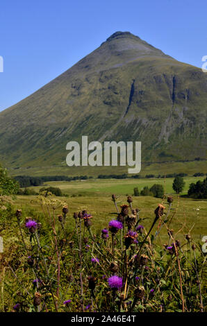 A vertical shot of green Scottish Highlands under the cloudy sky Stock ...