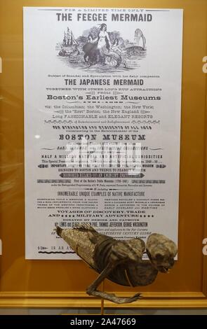 Feejee Mermaid, shown in P.T. Barnum's American Museum, 1842, as leased ...