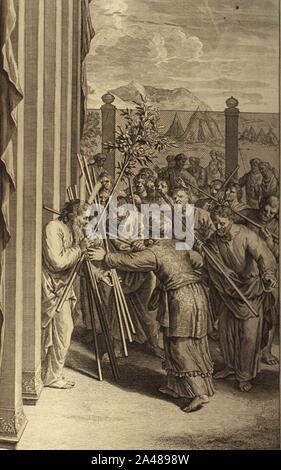 The Budding of Aaron's Rod Stock Photo: 29486794 - Alamy