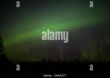 Northern lights over forestscape in the night Stock Photo - Alamy