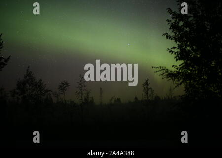 Northern lights over forestscape in the night Stock Photo - Alamy