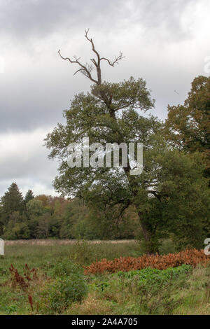 Gurre Castle, Denmark Sjælland Stock Photo - Alamy