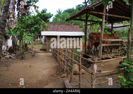 Traditional village on the Java island in Indonesia Stock Photo - Alamy