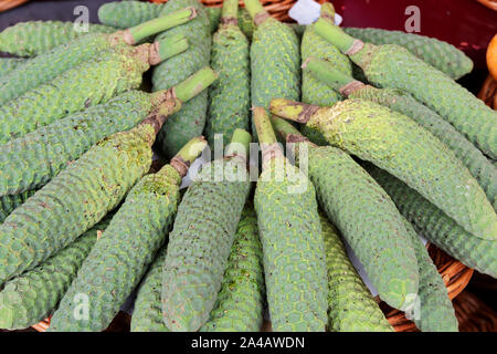 Ananas-banana fruit (Monstera deliciosa) at Mercado Dos Lavradores ...