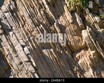Phyllite (metamorphic rock Stock Photo - Alamy