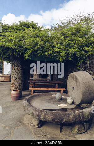 A beautiful scenery of wooden benches under trees and fall leaves on ...