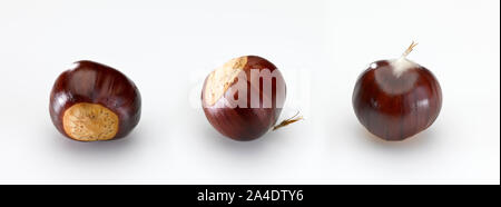 Edible sweet chestnuts with cut chestnut isolated on white background ...