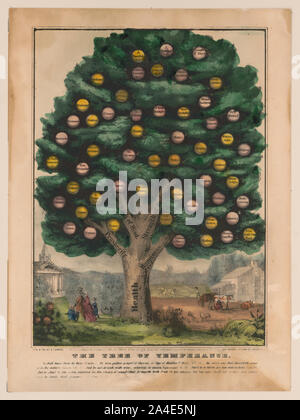 The tree of temperance Stock Photo - Alamy
