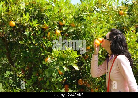 Woman smelling an orange Stock Photo - Alamy