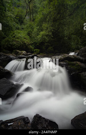 Famous Ozarde waterfall near Koynanagar,Maharashtra,India Stock Photo ...