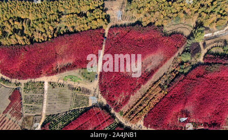 Aerial photo shows the Red maple lake in Guiyang City, southwest China ...