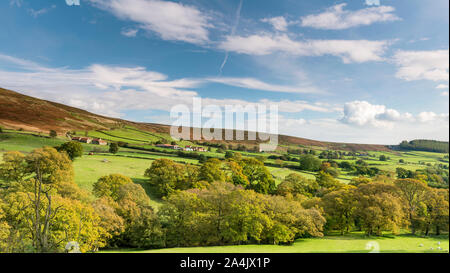 Early autumn in Bransdale, North Yorkshire Stock Photo - Alamy