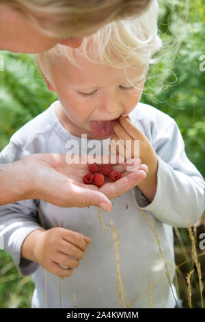 blond girls eating berries Stock Photo - Alamy