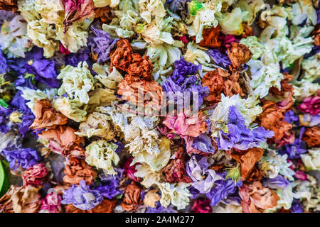 Purple rose petals fall to the floor. Isolated background Stock Photo ...