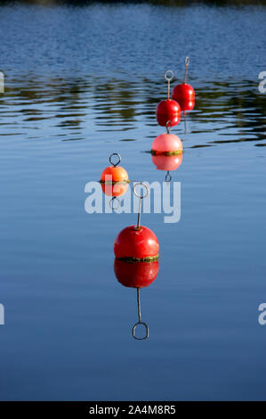 Buoys in Norway Stock Photo - Alamy