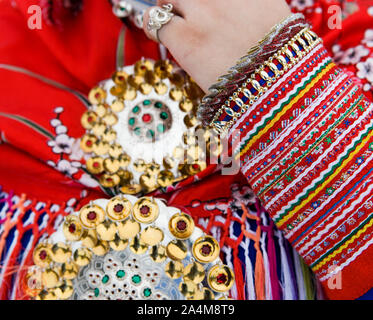 Laplander traditional costume. Detail. Lapp / Lapps / Laplander ...