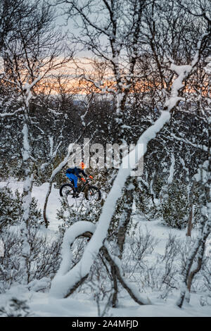 Cycle path, cyclist, deciduous forest and meadows in the Spreewald ...