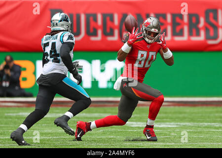Tampa Bay Buccaneers tight end Payne Durham (87) takes the field after ...
