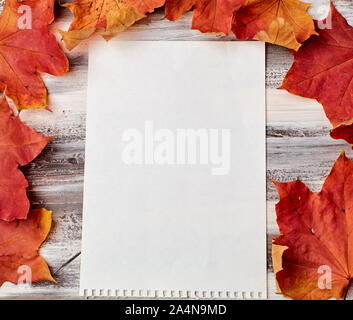 Colorful vertical frame of fallen autumn leaves chestnuts Stock Photo ...