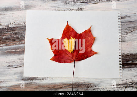 Colorful vertical frame of fallen autumn leaves chestnuts Stock Photo ...