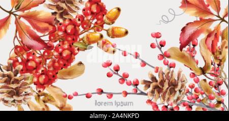 Autumn wild berries card vector watercolor. Isolated background ...