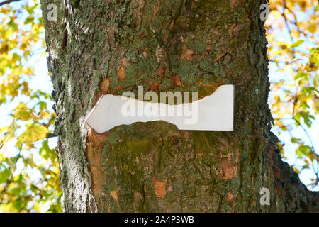 trunk of a tree growing inside a stone wall, Kinvara, Co. Galway ...