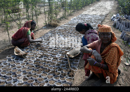 Plantation workers sowing seeds in British India 1945 Stock Photo - Alamy