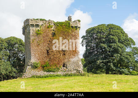 Shrule Castle is a ruined tower castle in Shrule in County Mayo ...