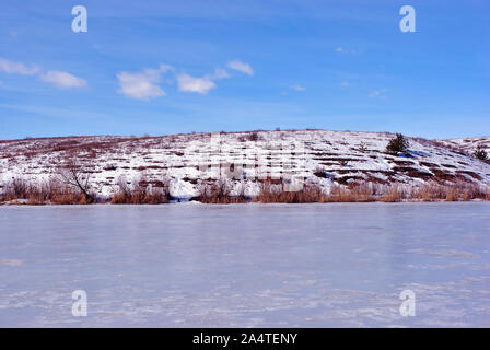 Fresh snow bank, snow covered pine trees and a bright blue sky Stock ...