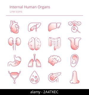 Human internal organs color icons set. Brain, esophagus, larynx, thymus ...