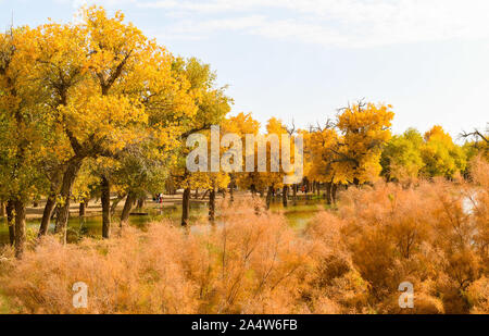 Ejin Banner. 16th Oct, 2019. Photo taken on Oct. 16, 2019 shows the ...