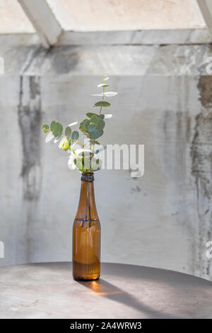 Shadow of bottle vase with leaf Stock Photo - Alamy