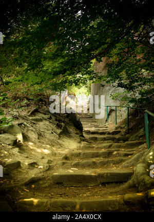 High climbing rocks in a dense forest Stock Photo - Alamy