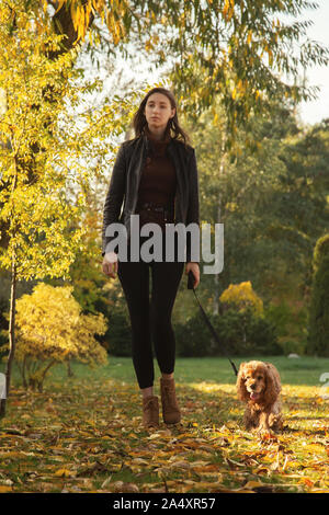 Woman walks with a cocker spaniel Stock Photo - Alamy