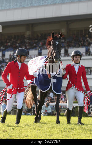 Kyoto, Japan. 13th Oct, 2019. Chrono Genesis (Yuichi Kitamura) Horse ...