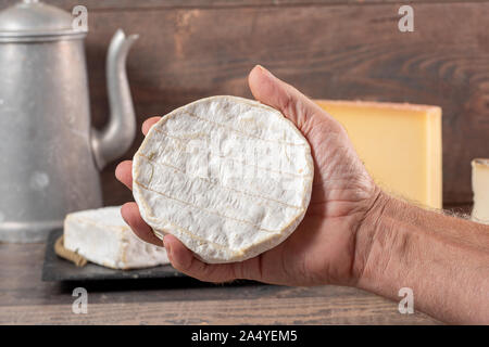 hand man holding a Camembert, french normandy cheese Stock Photo - Alamy
