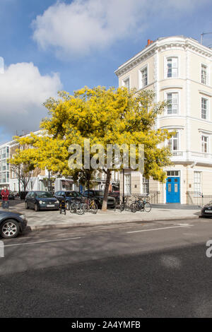Lupus Street, Pimlico, London Stock Photo - Alamy