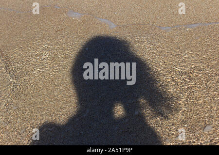 shadow of a girl on the background of the oncoming sea wave. Sandy ...