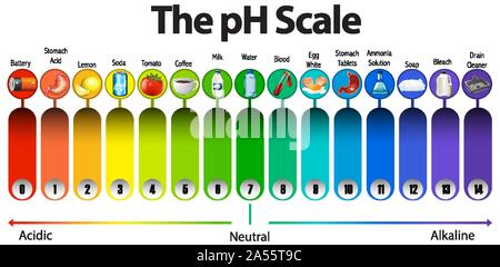 A pH scale on white background illustration Stock Vector Image & Art ...