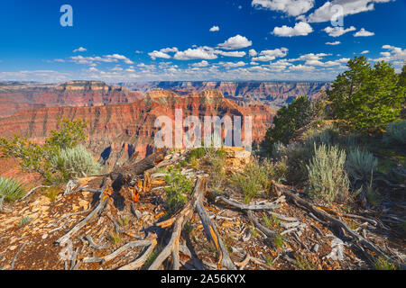 Sunset at Point Sublime, Grand Canyon National Park, AZ Stock Photo - Alamy