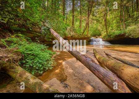 Creation Falls Waterfall Clifty Wilderness Red River Gorge Geological ...
