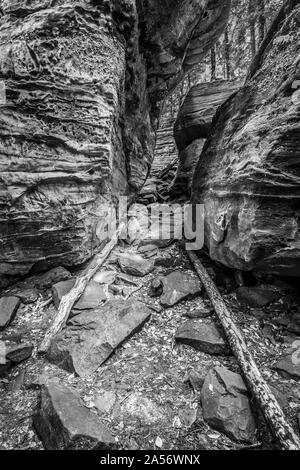 The Ledges at Cuyahoga Valley National Park in Ohio, USA Stock Photo ...
