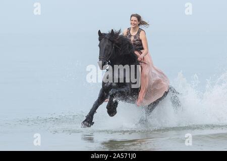 woman rides Frisian Horse Stock Photo - Alamy