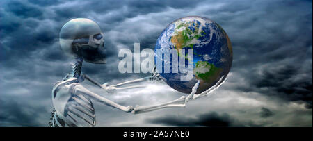 Human Skeleton Anatomy Stock Photo - Alamy